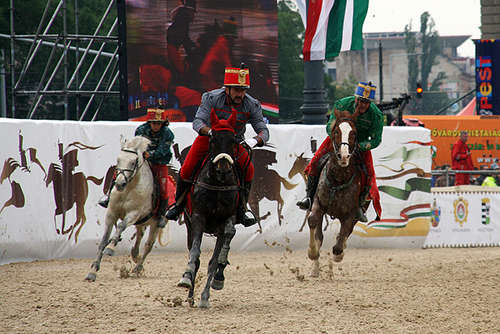 Horse Pictures From Hungary | The Equinest