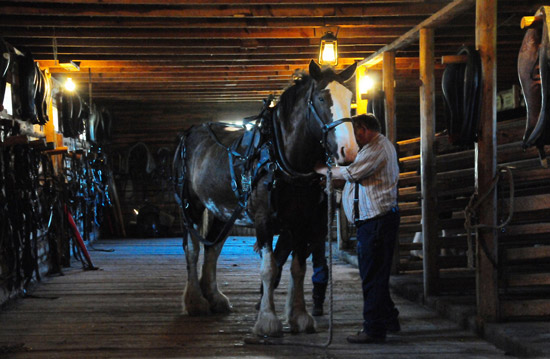 The Wide World Of Horse Stables 3 | The Equinest