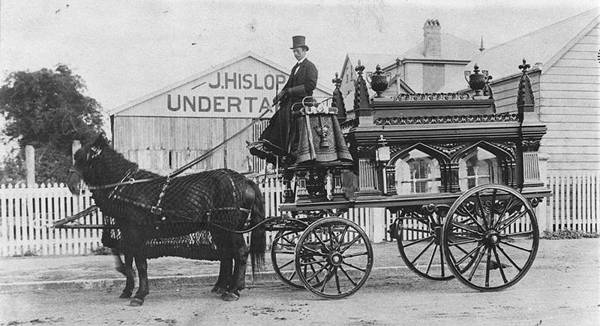 The Undertaker’s Horse | The Equinest