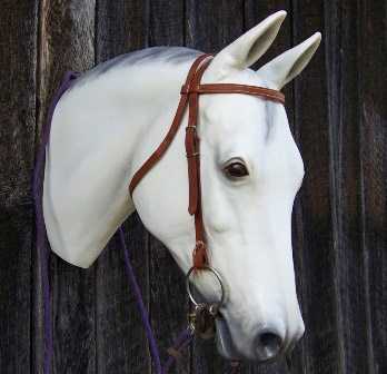 Review: Use a Bridle Buddy to Store Your Leather - The Equinest